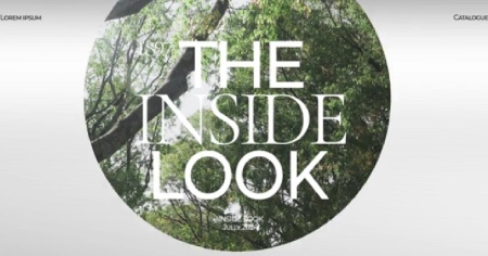 پروژه آماده افتر افکت اینترو The Inside Look